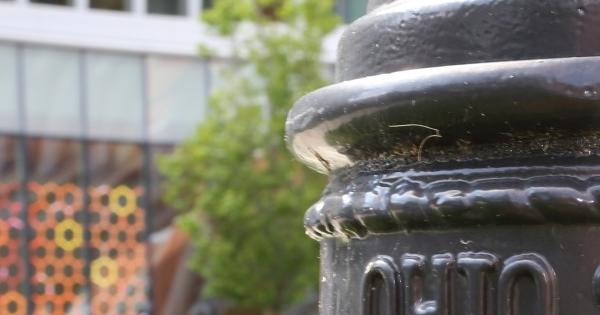 OSU Receives $2.5M Grant from HHMl to Advance STEM Education ...