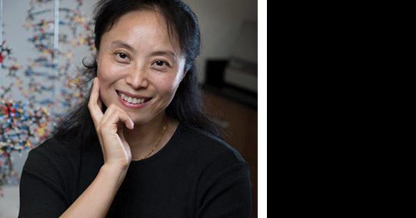 Dr. Danzhou Yang - Biochemistry divisional seminar | Department of ...